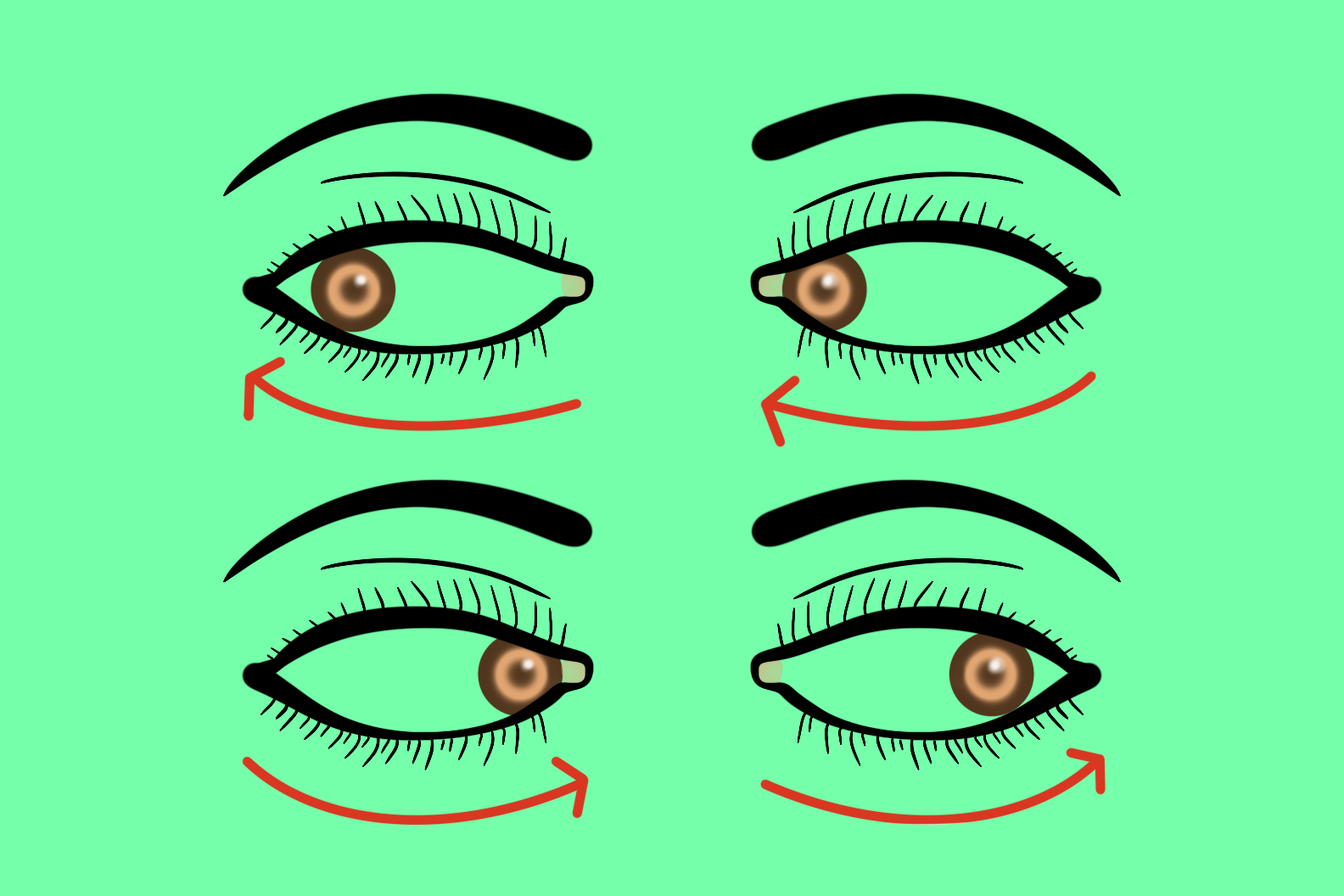 Home remedies for vertigo: Vestibular Rehabilitation Exercises – Dr ...