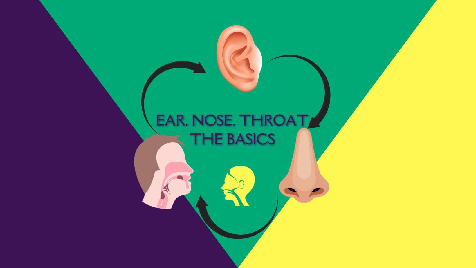 How do the ear, nose and throat work together: Understanding the basics ...
